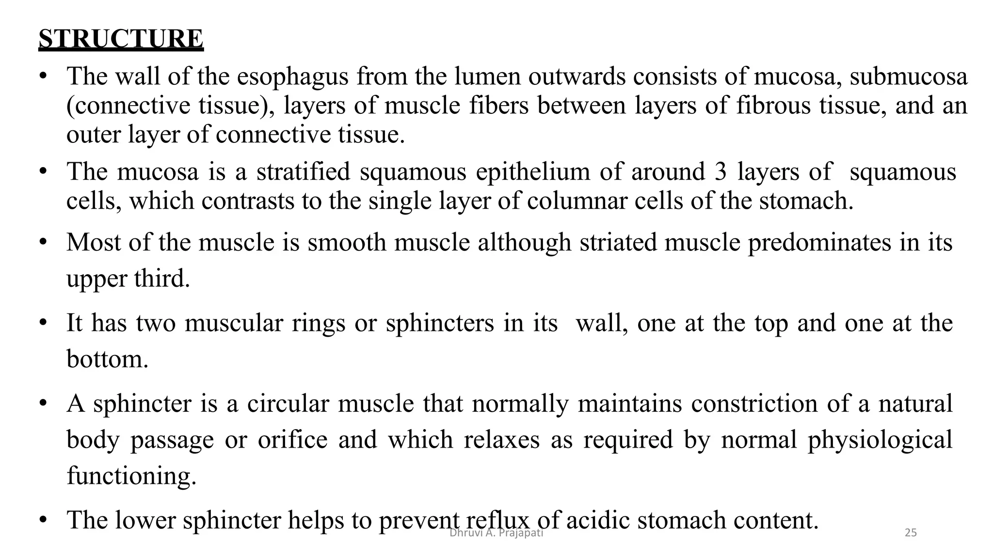Anatomy and physiology of Digestive system | PPTX