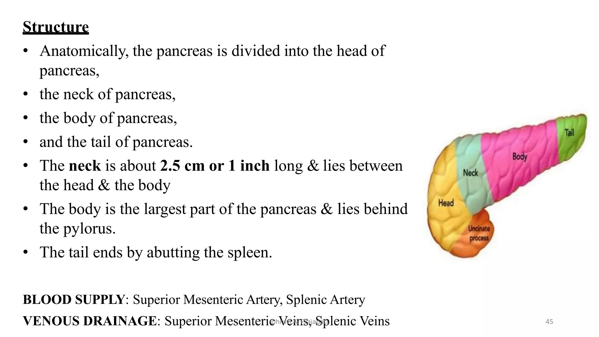 Anatomy and physiology of Digestive system | PPTX