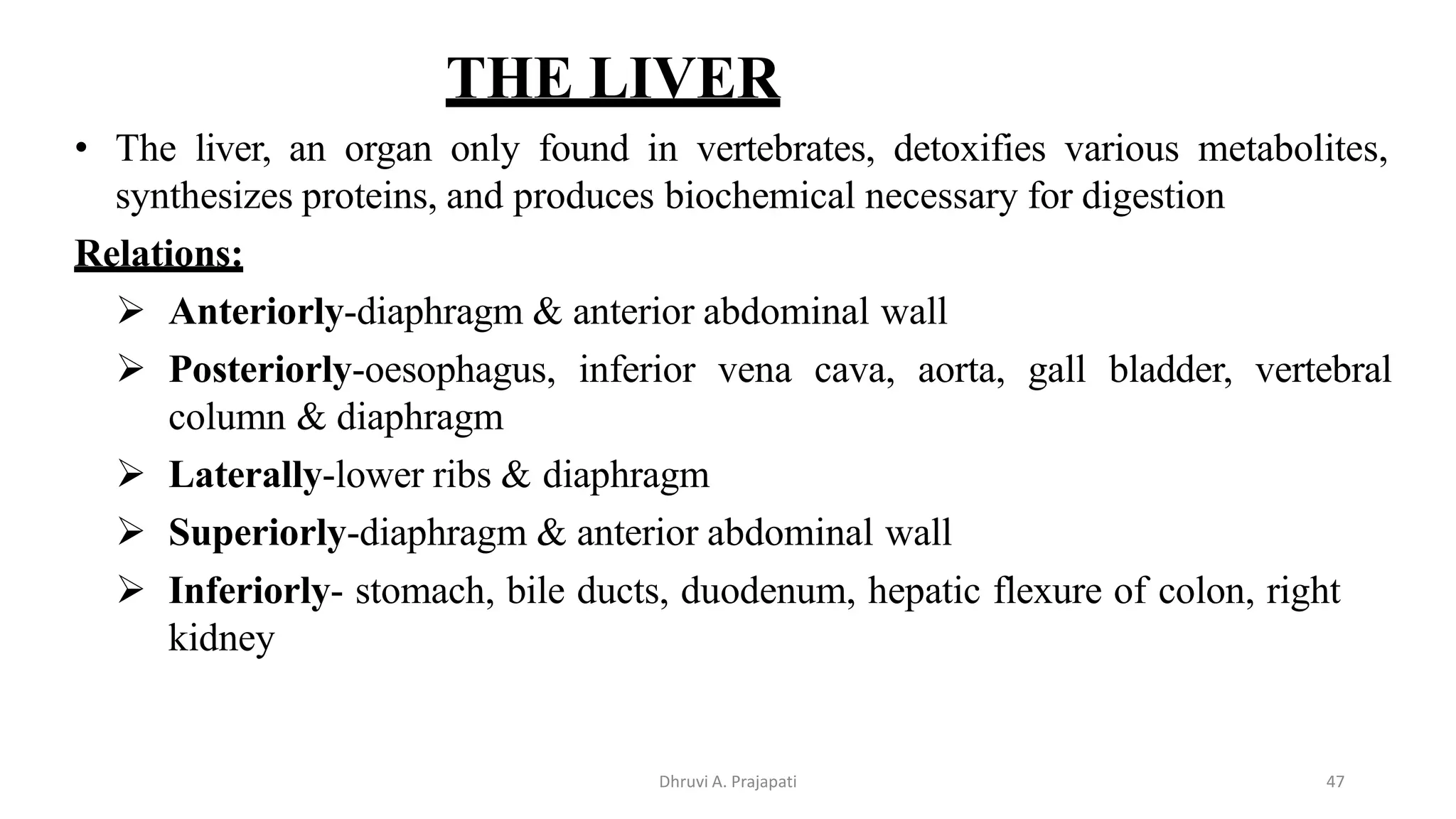 Anatomy and physiology of Digestive system | PPTX
