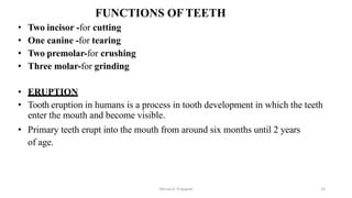 Anatomy and physiology of Digestive system | PPTX