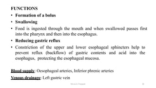 Anatomy and physiology of Digestive system | PPTX