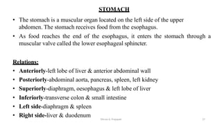Anatomy and physiology of Digestive system | PPTX