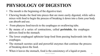 Anatomy and physiology of Digestive system | PPTX
