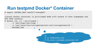 DPDK in Containers Hands-on Lab | PPT