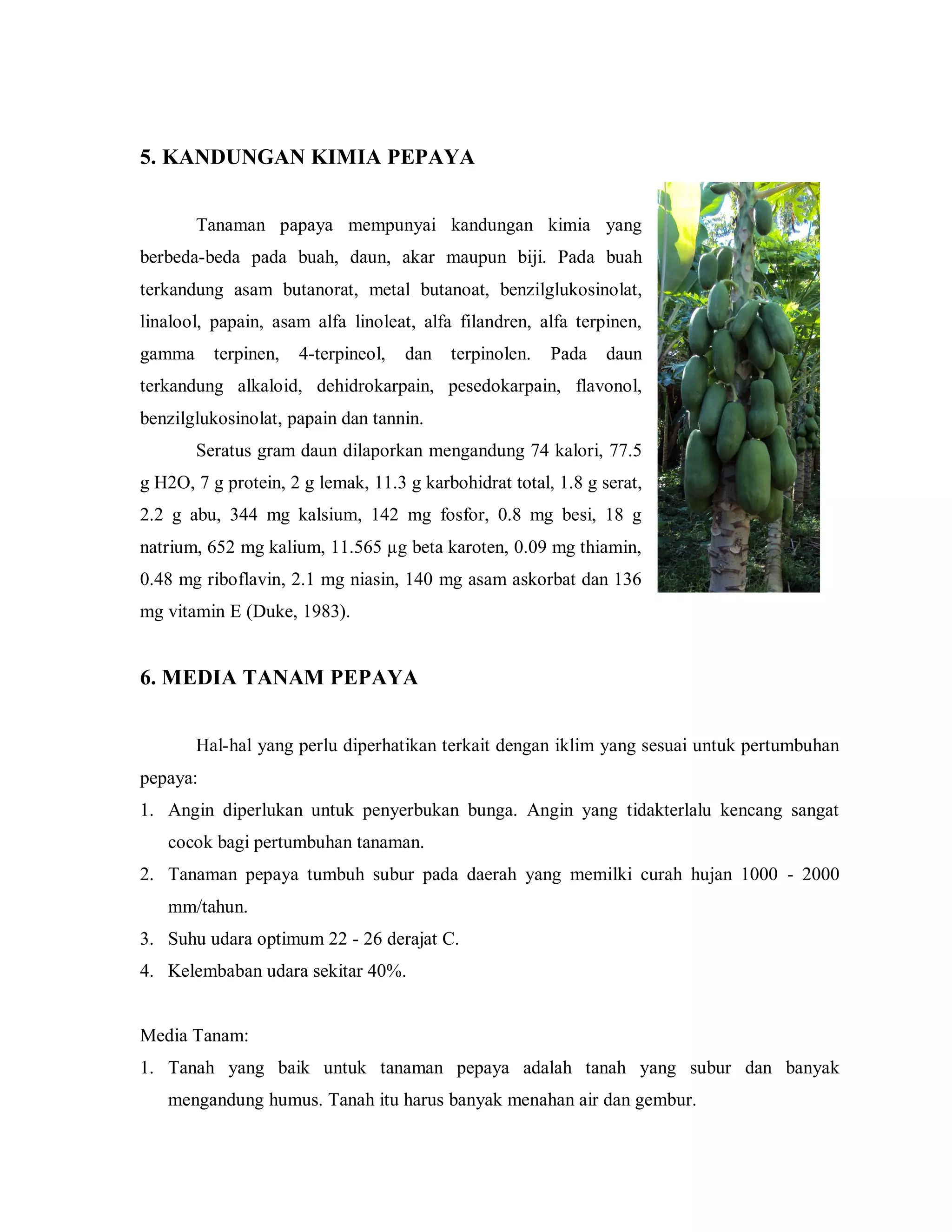 Morfologi tumbuhan pepaya | PDF