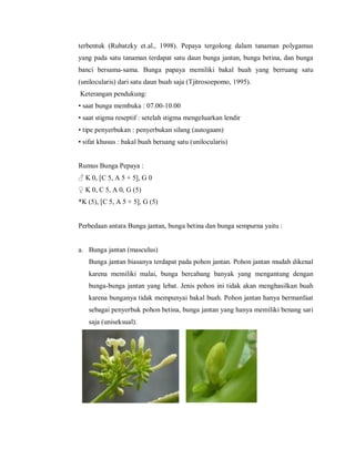 Morfologi tumbuhan pepaya | PDF