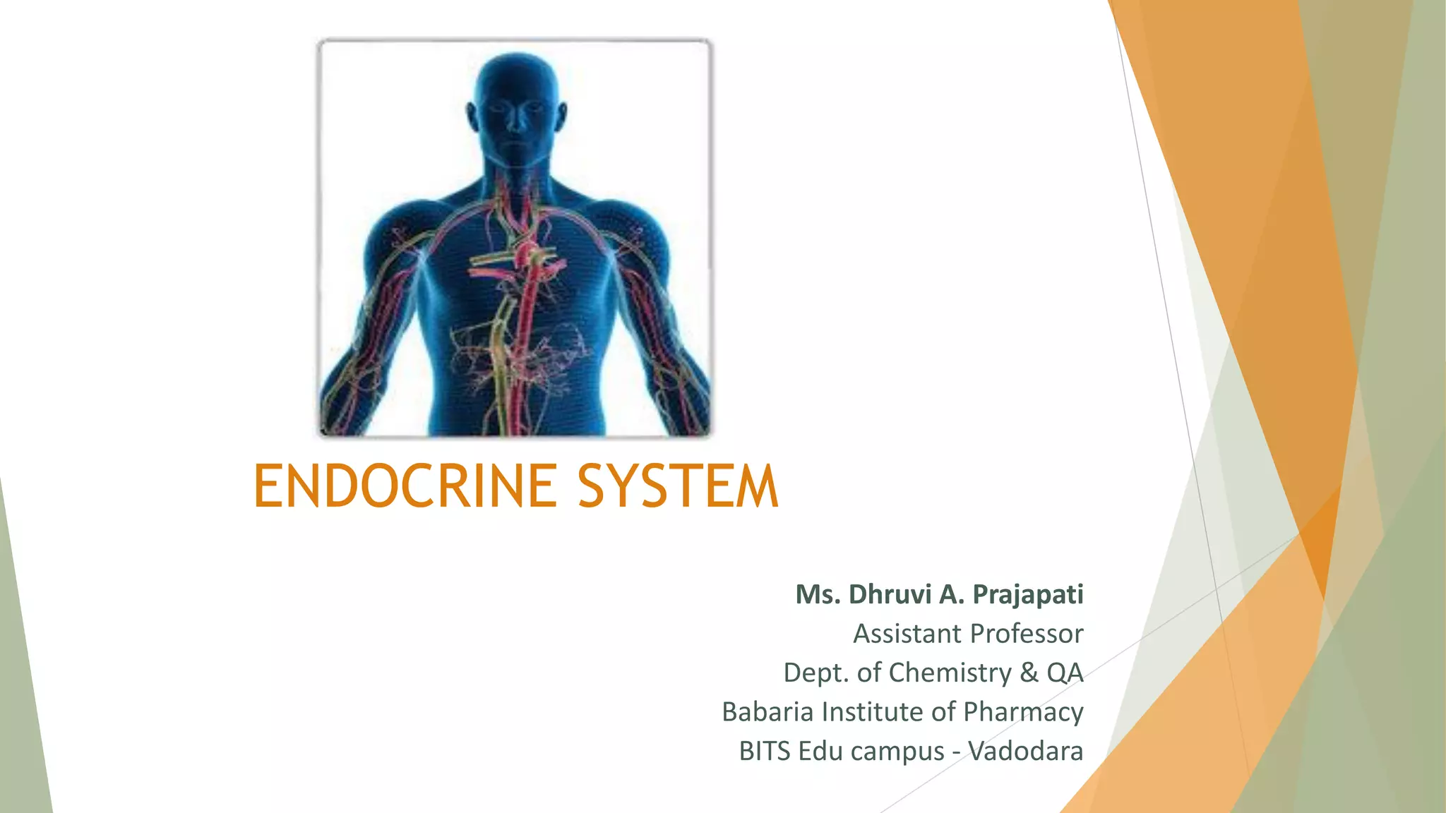 Endocrine system | PPT