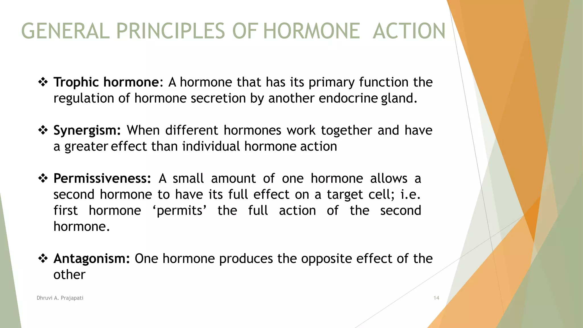 Endocrine system | PDF
