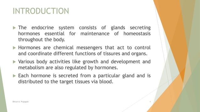 Endocrine system | PPT