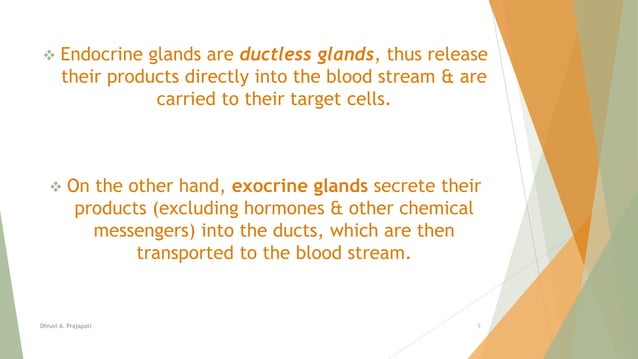 Endocrine system | PPT