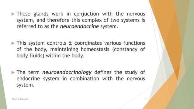 Endocrine system | PPT