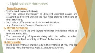 Endocrine system | PDF