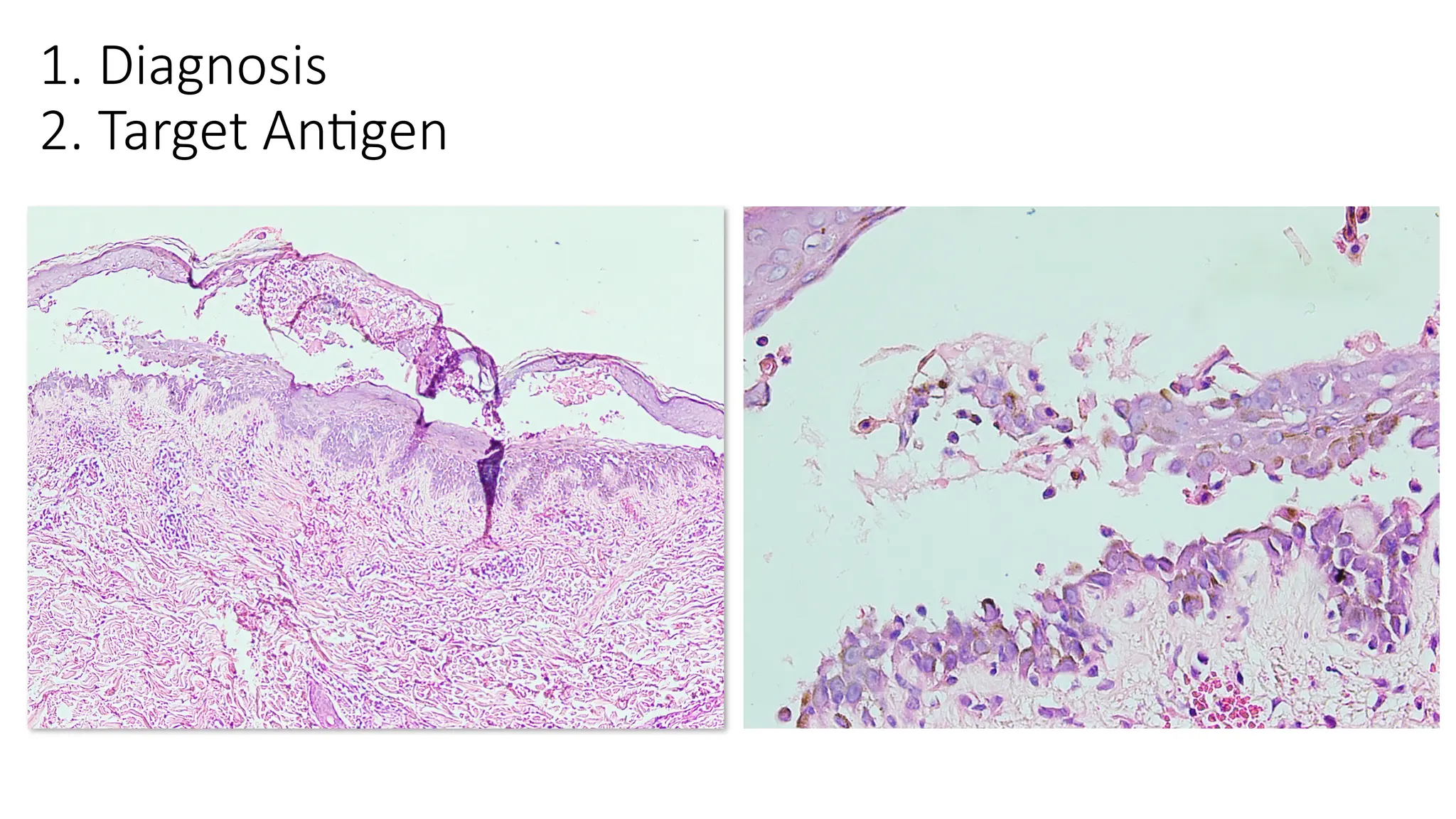DERMPATH EXAM 10 SLIDES FOR PRACTICE MOVING EXAM.pptx