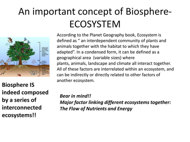 Biosphere, Biodiversity and Change | PPT