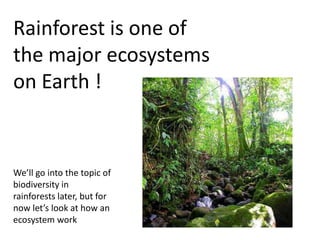 Biosphere, Biodiversity and Change | PPTX