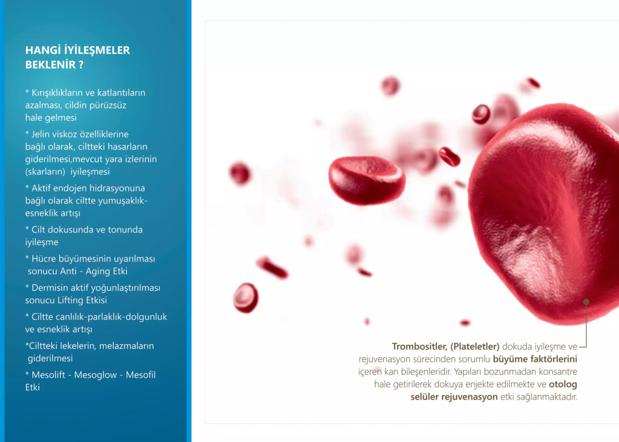 DPG PRP Estetik PRP Kit 2 | PPT