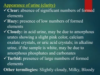 URINALYSIS | PPTX