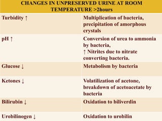 URINALYSIS | PPTX