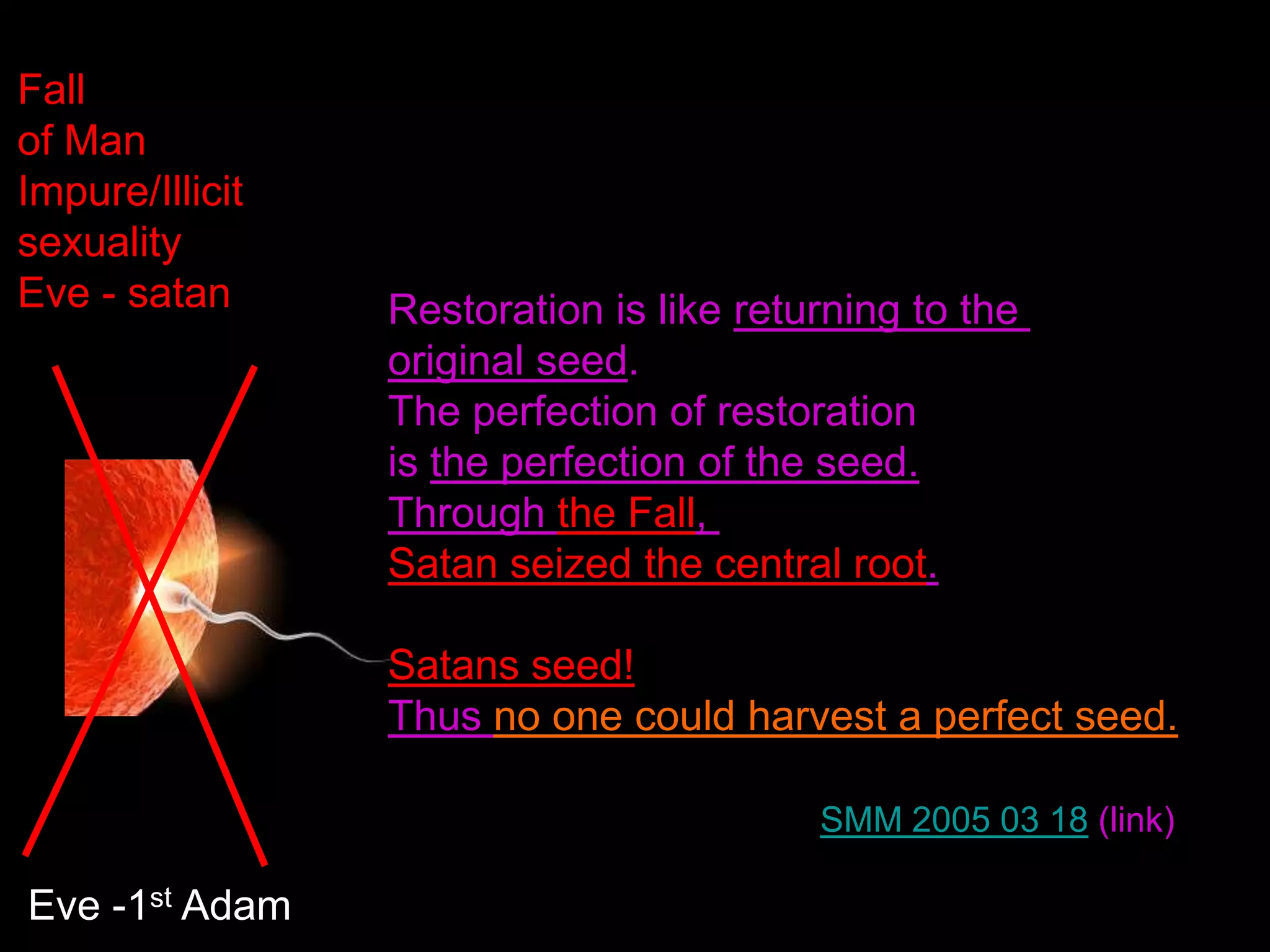 DP & The Holy Seed of Jesus | PDF