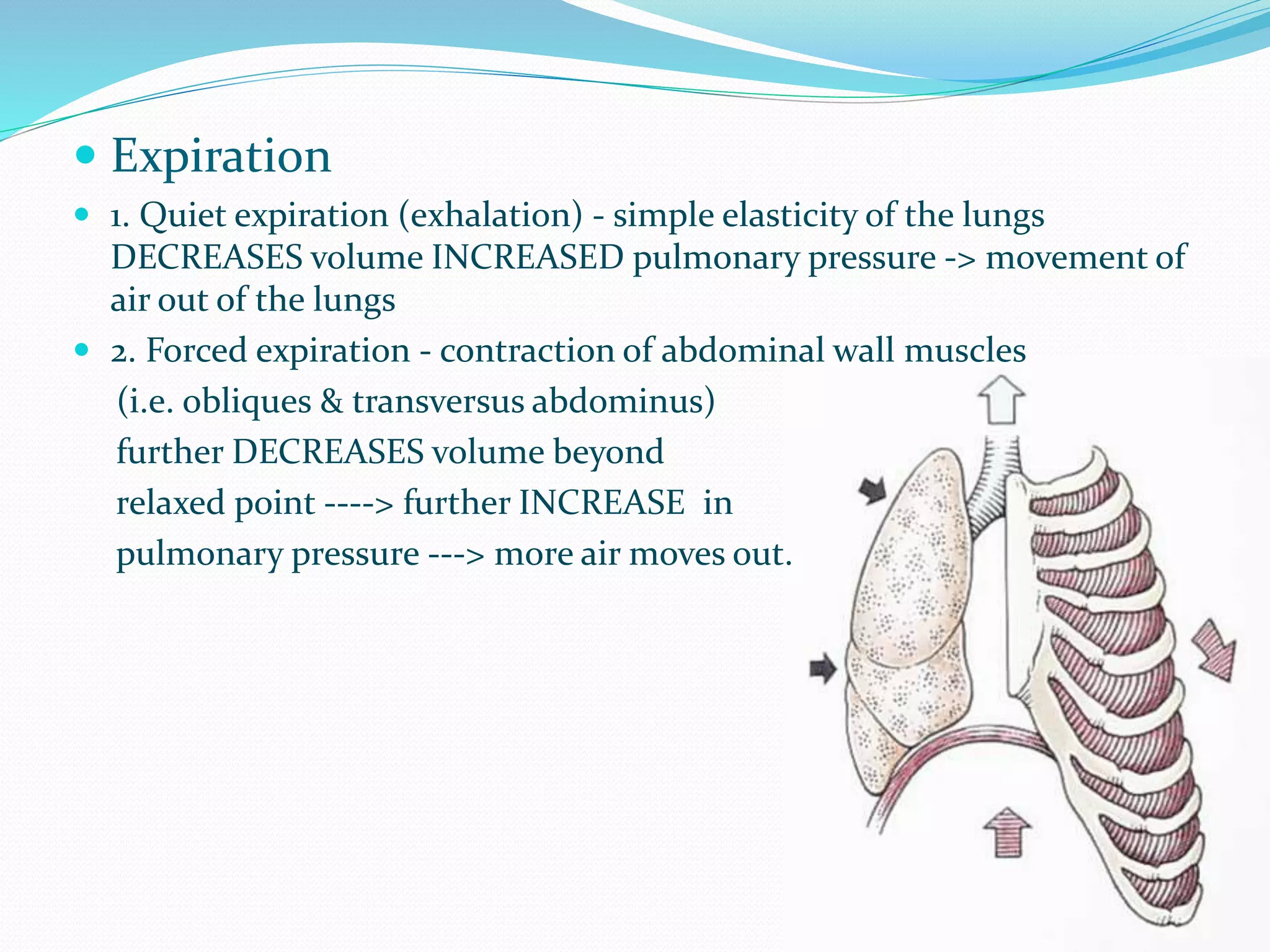Physiology of respiration | PPTX