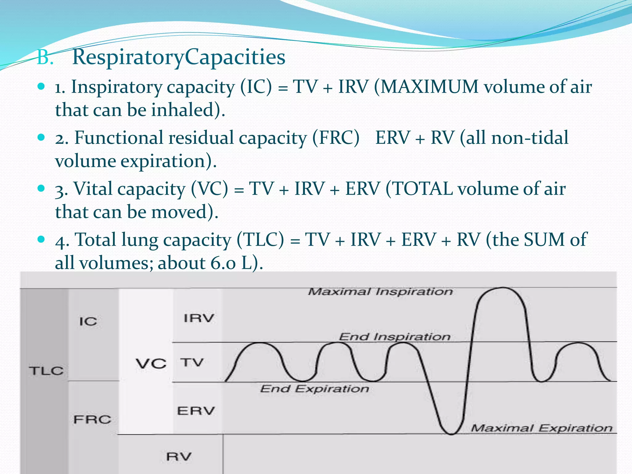 Physiology of respiration | PPTX