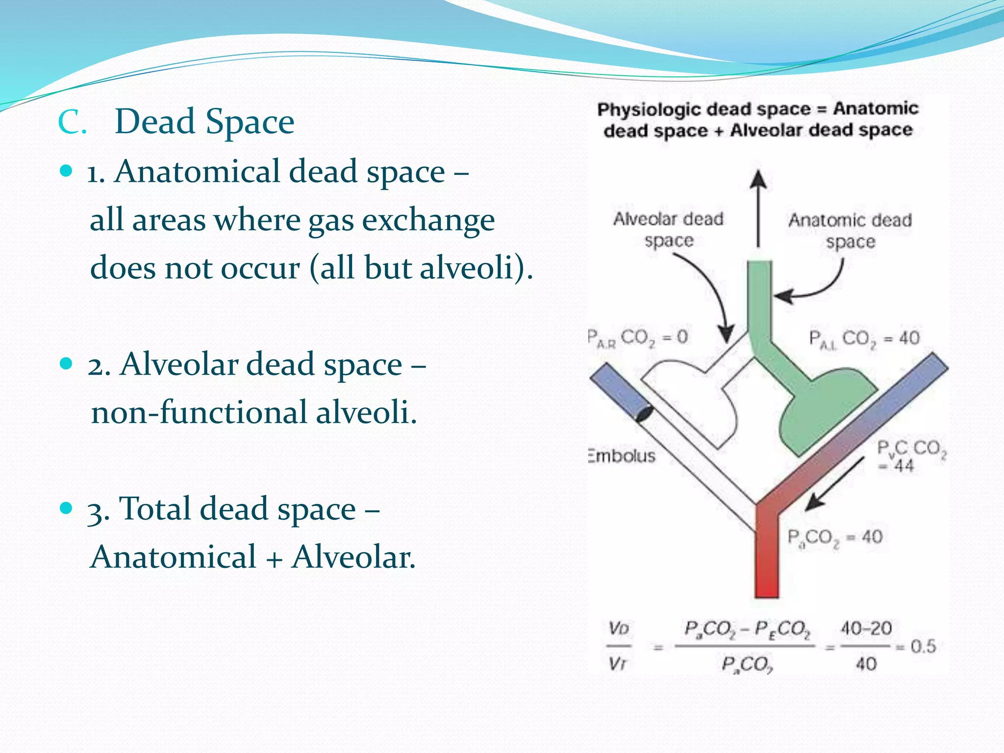 Physiology of respiration | PPTX