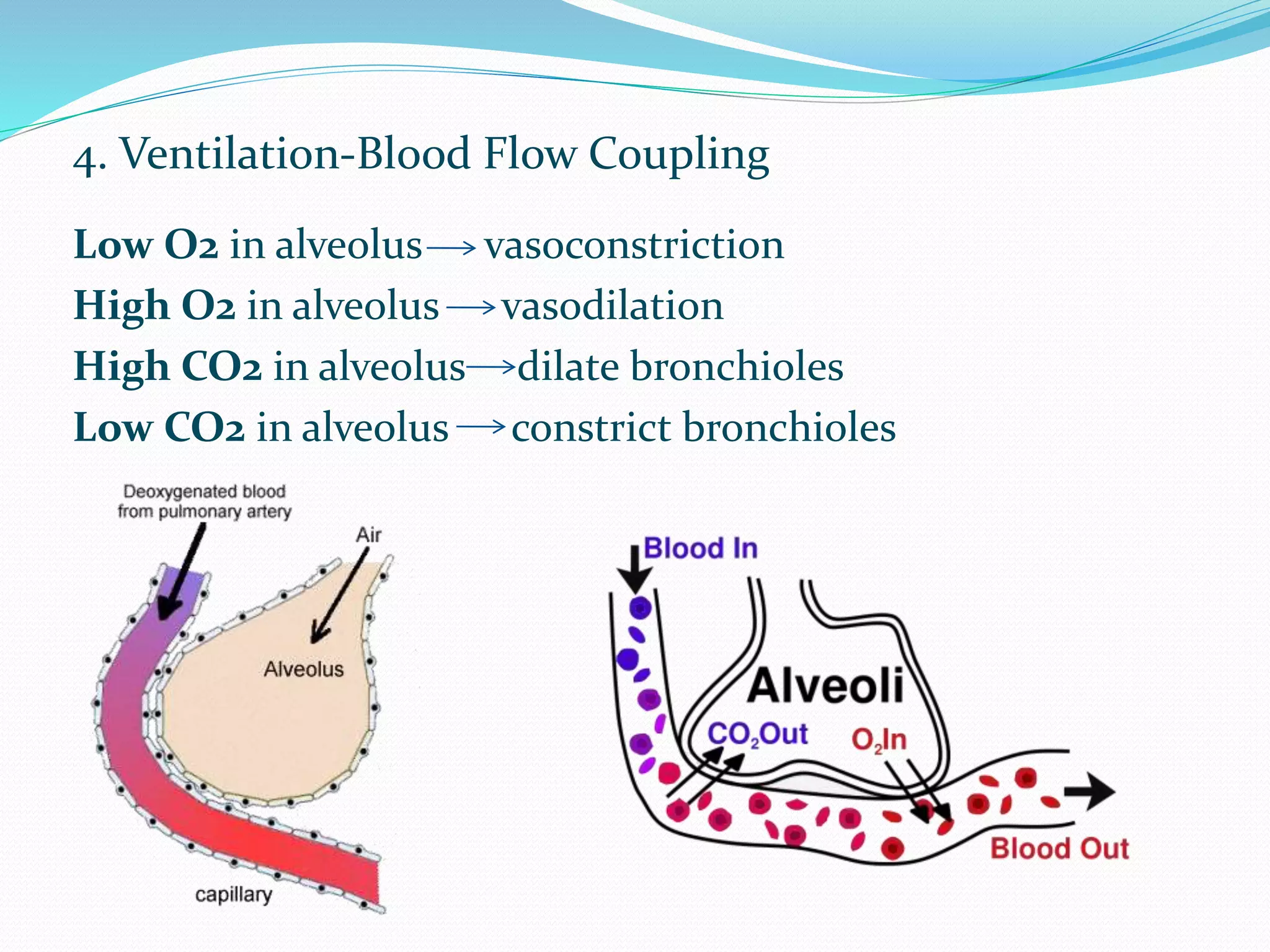 Physiology of respiration | PPTX