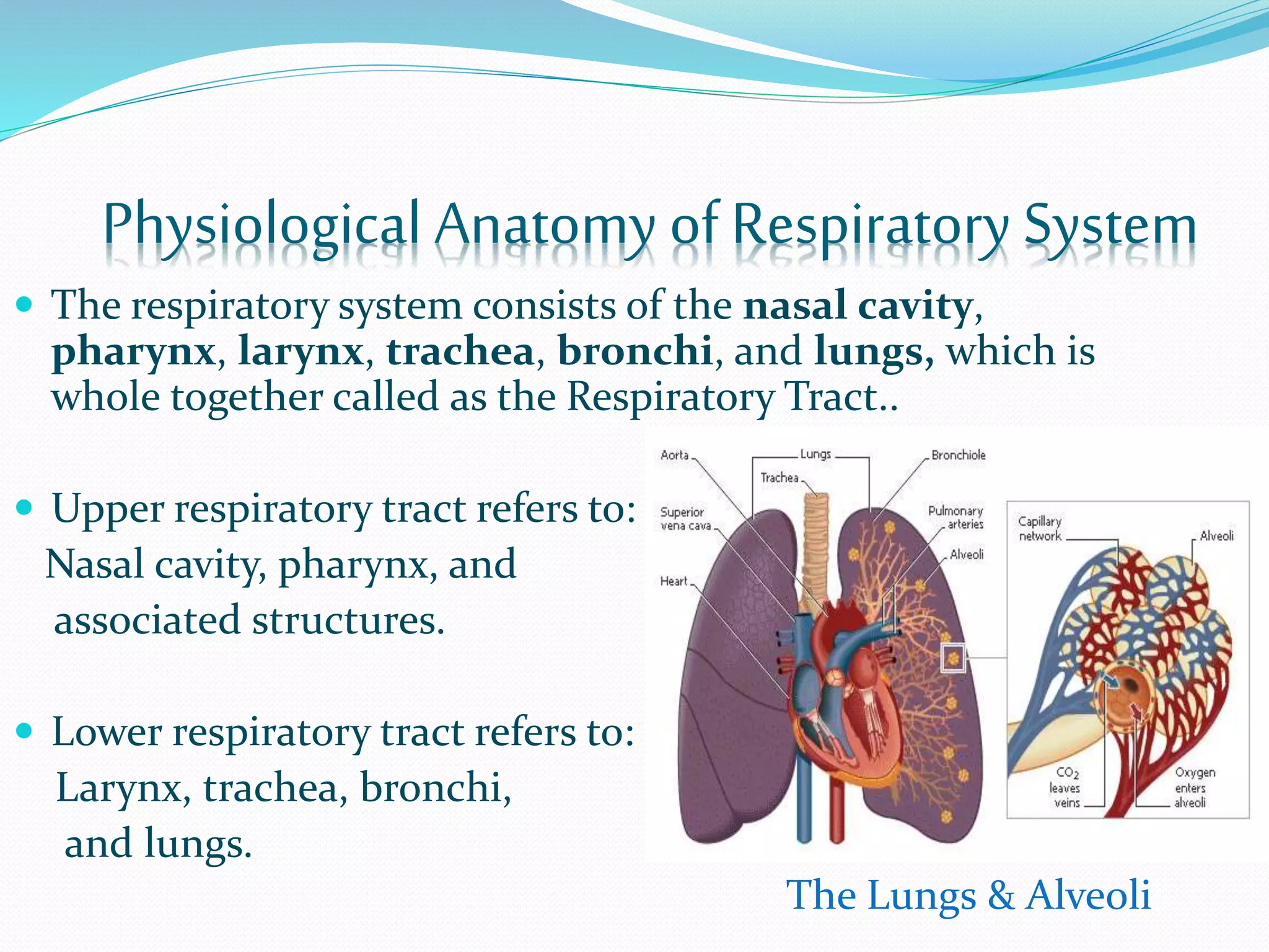 Physiology of respiration | PPTX