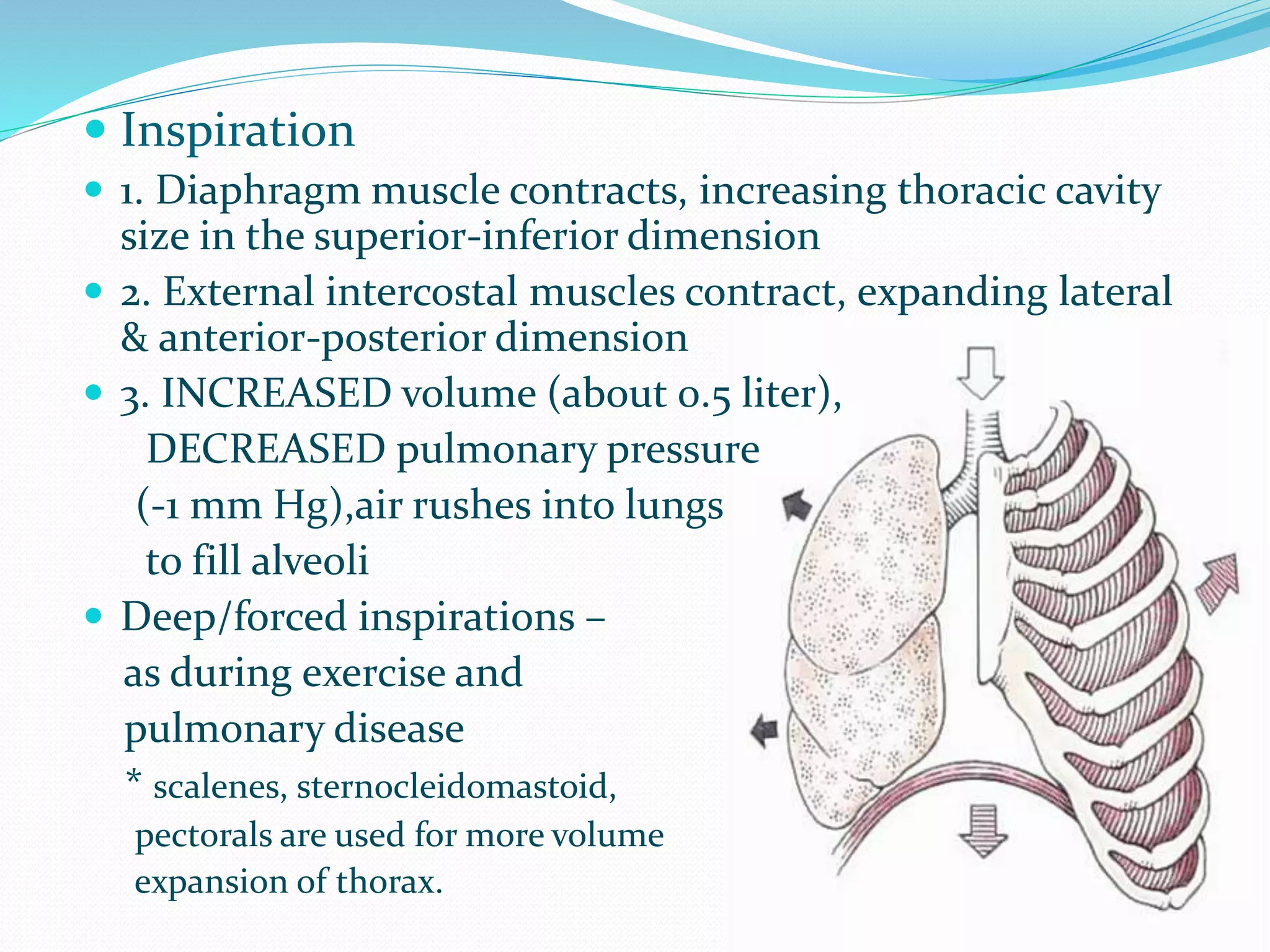 Physiology of respiration | PPTX