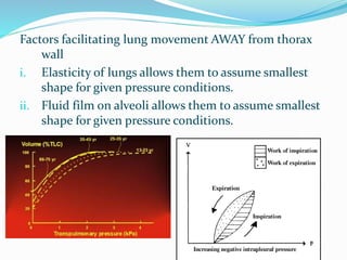 Physiology of respiration | PPTX