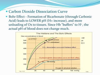Physiology of respiration | PPTX