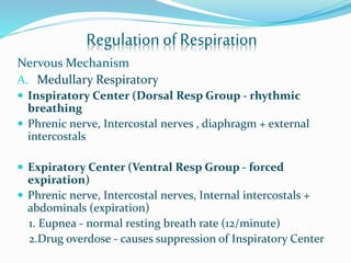 Physiology of respiration | PPTX