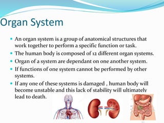 Human Body System and Their Function with a Labelled Diagram. | PPTX