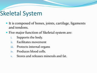 Human Body System and Their Function with a Labelled Diagram. | PPTX