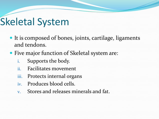 Human Body System and Their Function with a Labelled Diagram. | PPTX ...