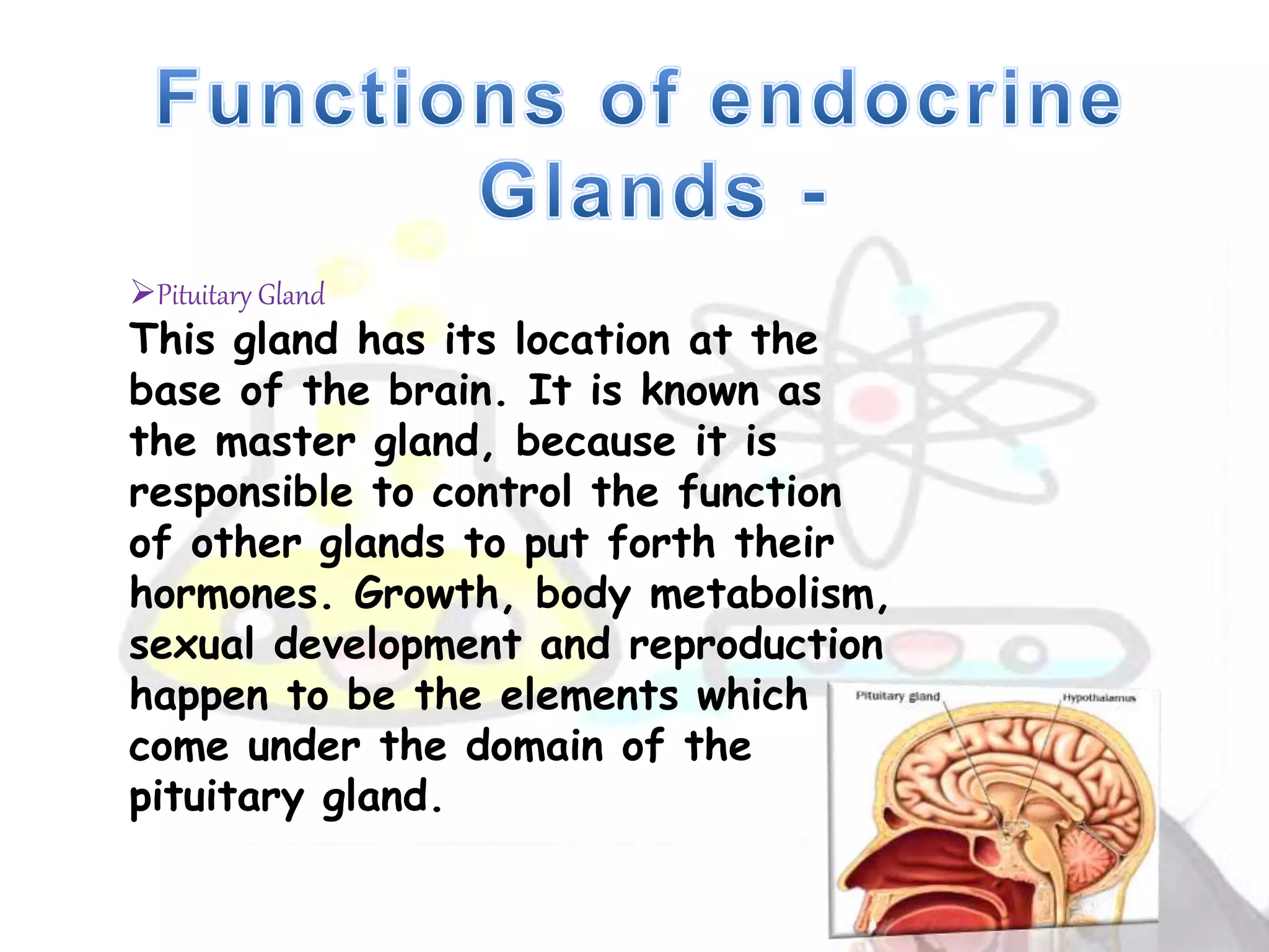 report on endocrine glands | PPTX