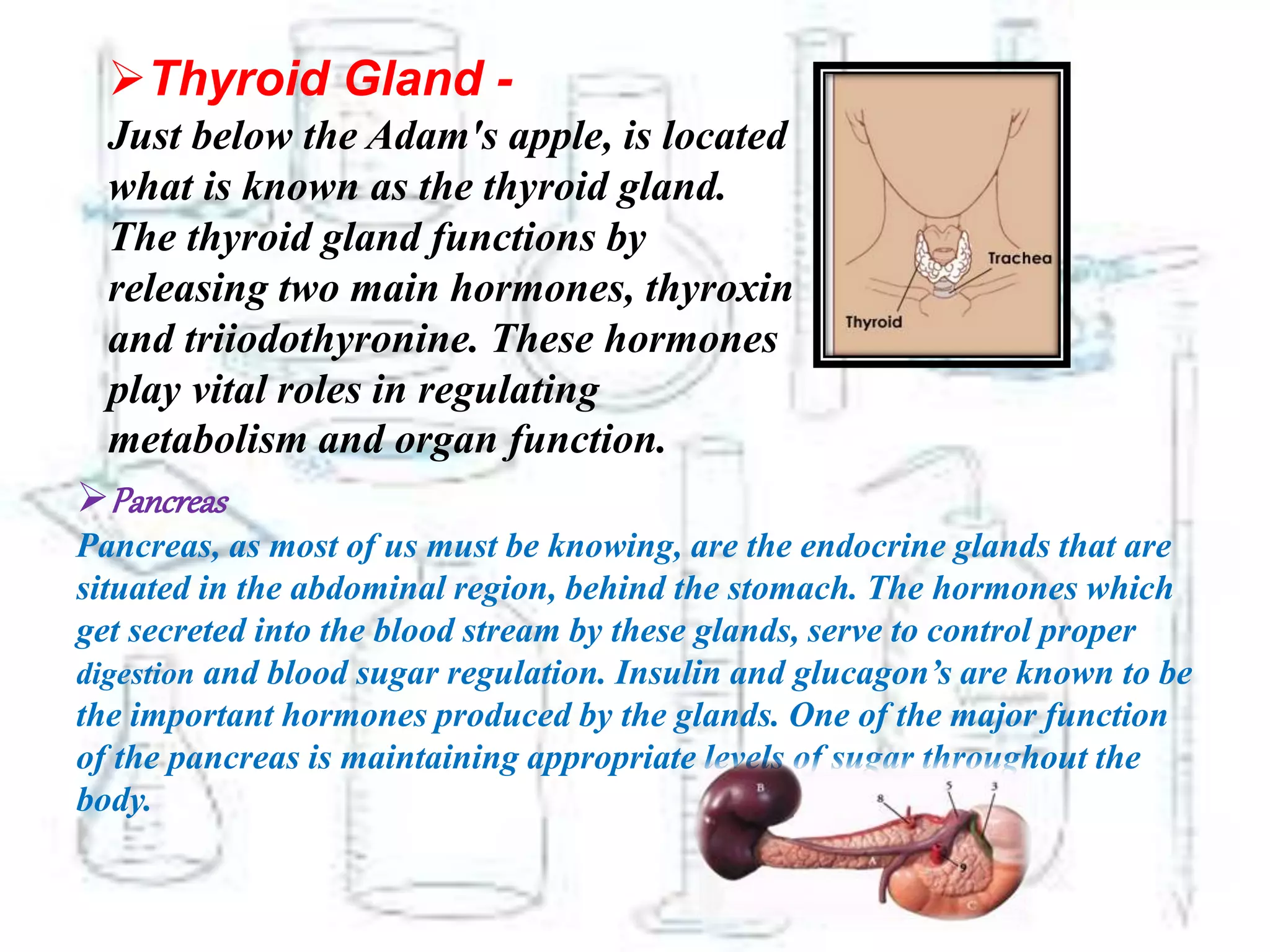 report on endocrine glands | PPTX
