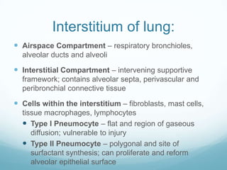 Diffuse Parenchymal Lung Diseases | PPTX