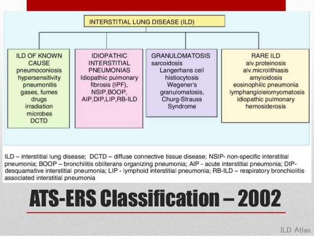 Diffuse Parenchymal Lung Disease : Radiological Approach