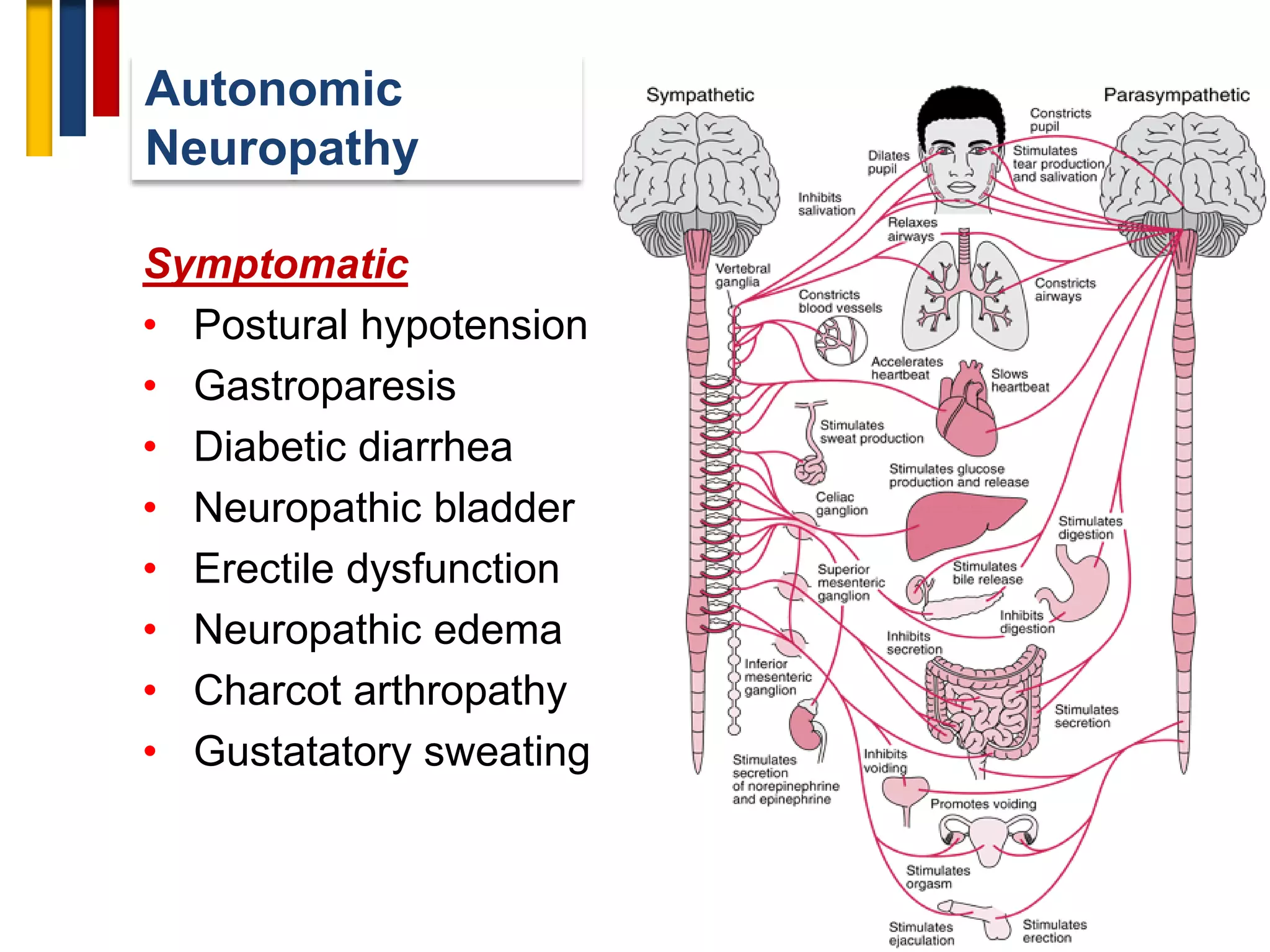 Diabetic polyneuropathy | PDF