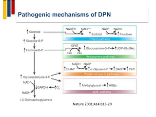 Diabetic polyneuropathy | PDF