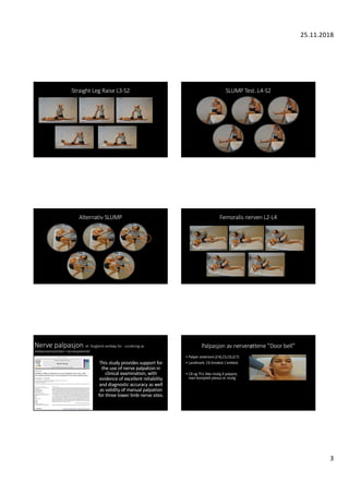 Det Perifere Nervesystemet 2 - 2018 | PDF