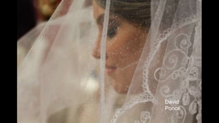 David Ponce Photography | PPTX