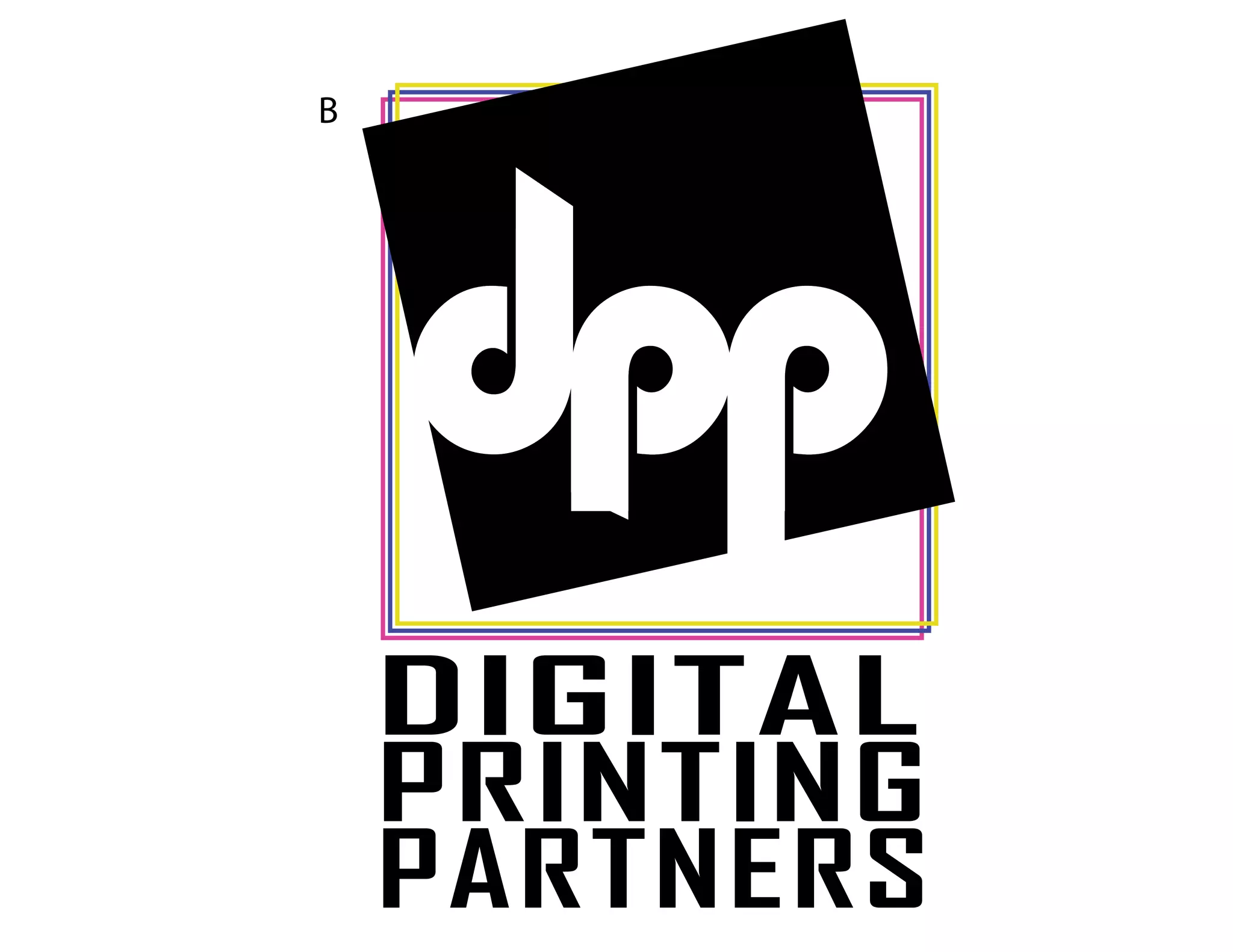 DPP Logo Comps Binder1 | PDF