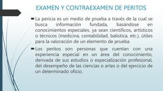 Dpp3 12 Examen Y Contraexamen De Peritos Pptx