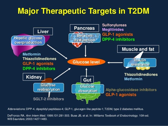 The Role of SGLT 2 Inhibitors and GLP 1 Receptor Agonists and DPP 4 I…