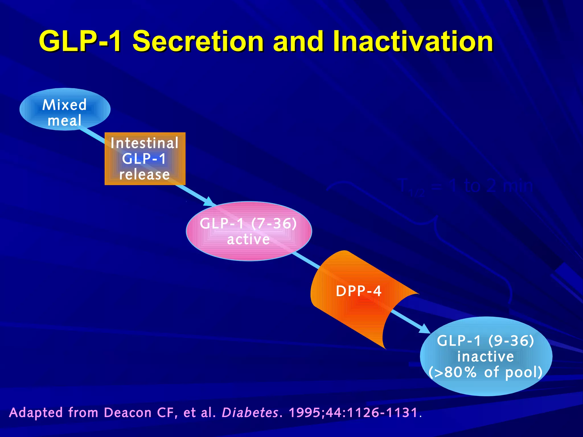 Dpp4 inhibitors | PPT | Diabetes | Diseases and Conditions