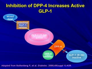 Dpp4 inhibitors | PPT
