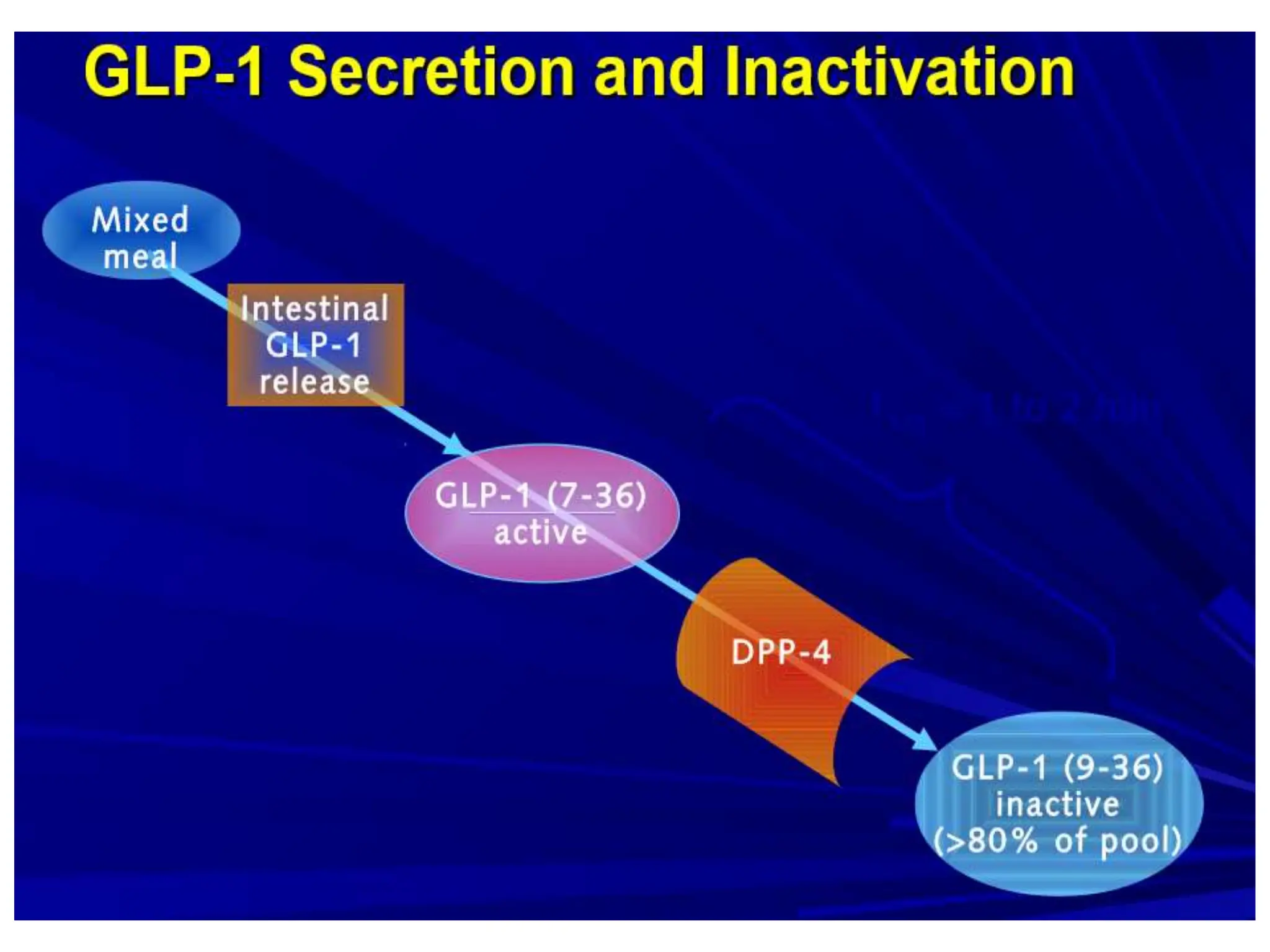 Introduction to DPP4 inhibitors in the treatment of Diabetes Mellitus.pptx