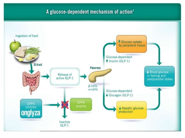 Introduction to DPP4 inhibitors in the treatment of Diabetes Mellitus ...